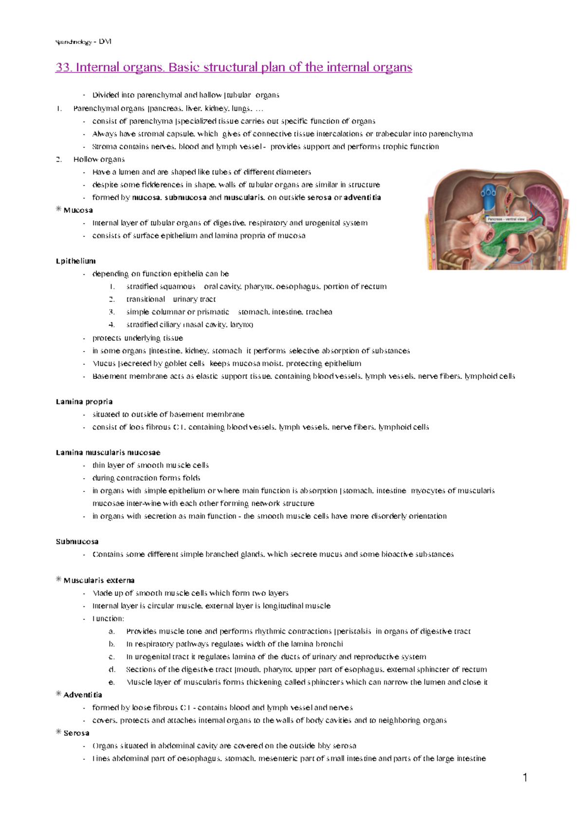 Anatomy essays - Splanchnology | Dental - 33. Internal organs. Basic ...