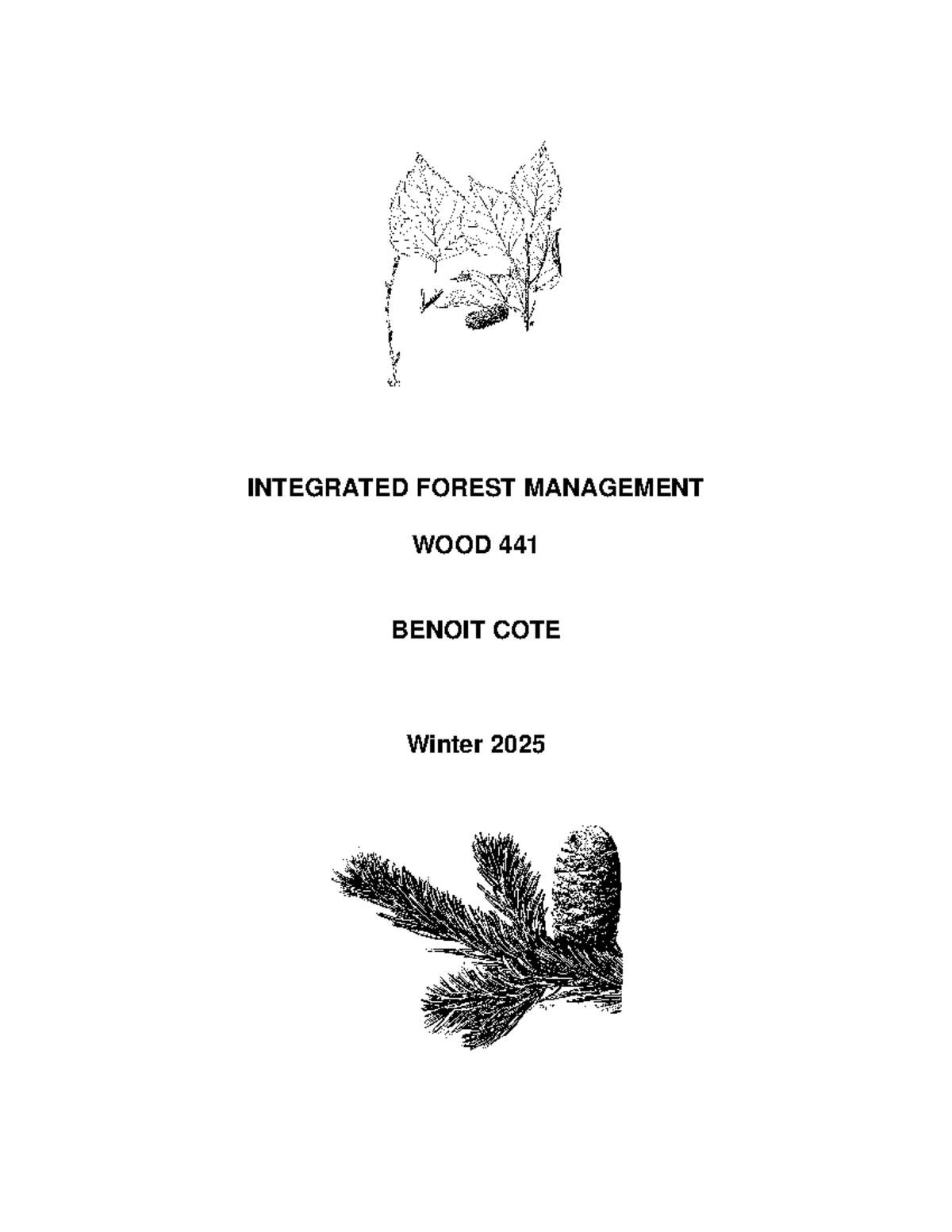 Silvicultural Systems and Management Practices in Ontario's Boreal ...