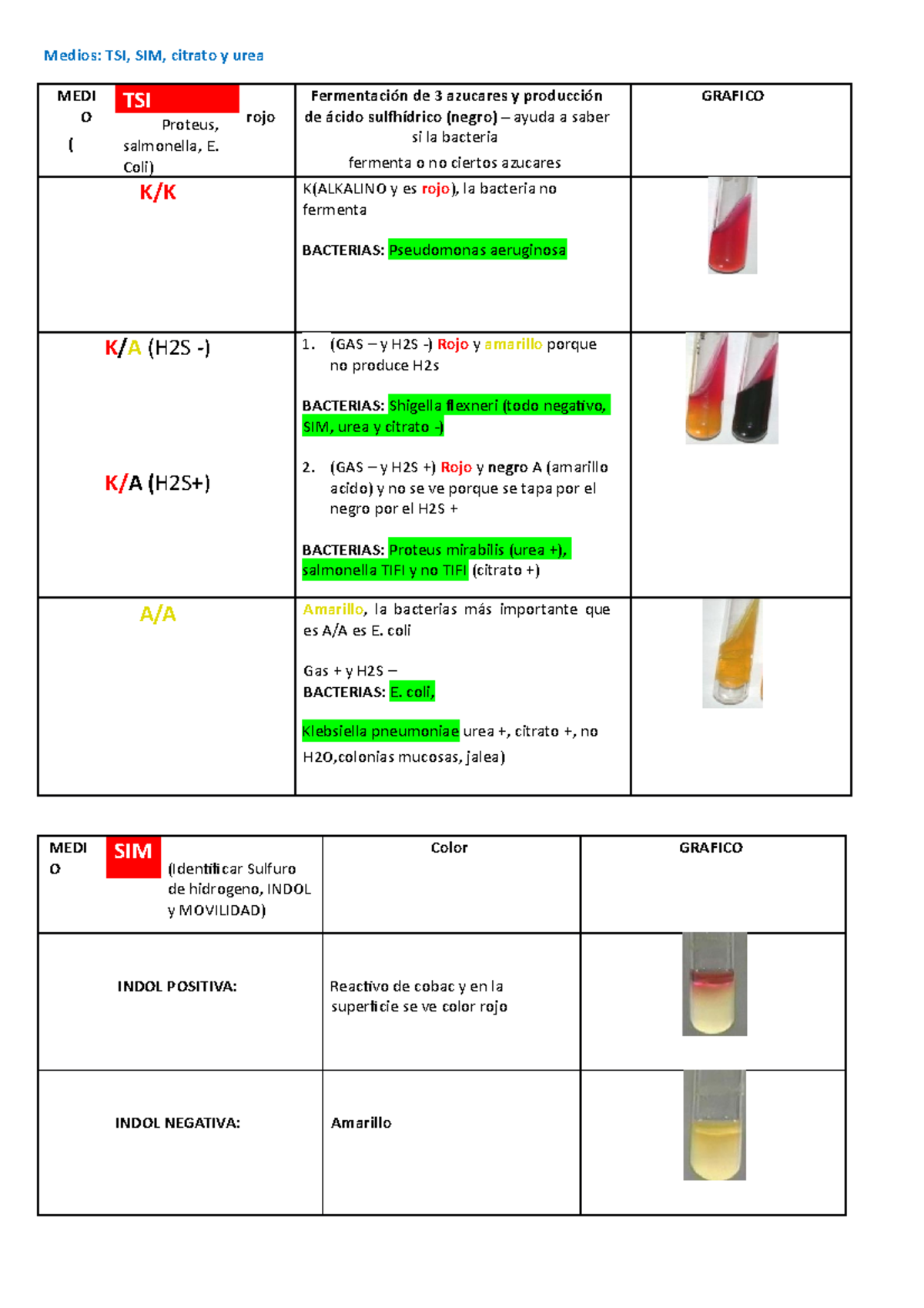 Estudio de Bacterias Bioquímicas: TSI y SIM en Diagnóstico Clínico ...