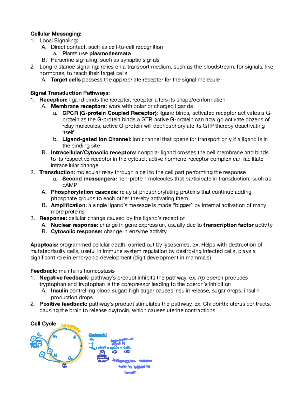 Unit 4 Review Sheet: Cellular Signaling & Cell Cycle Concepts - Studocu