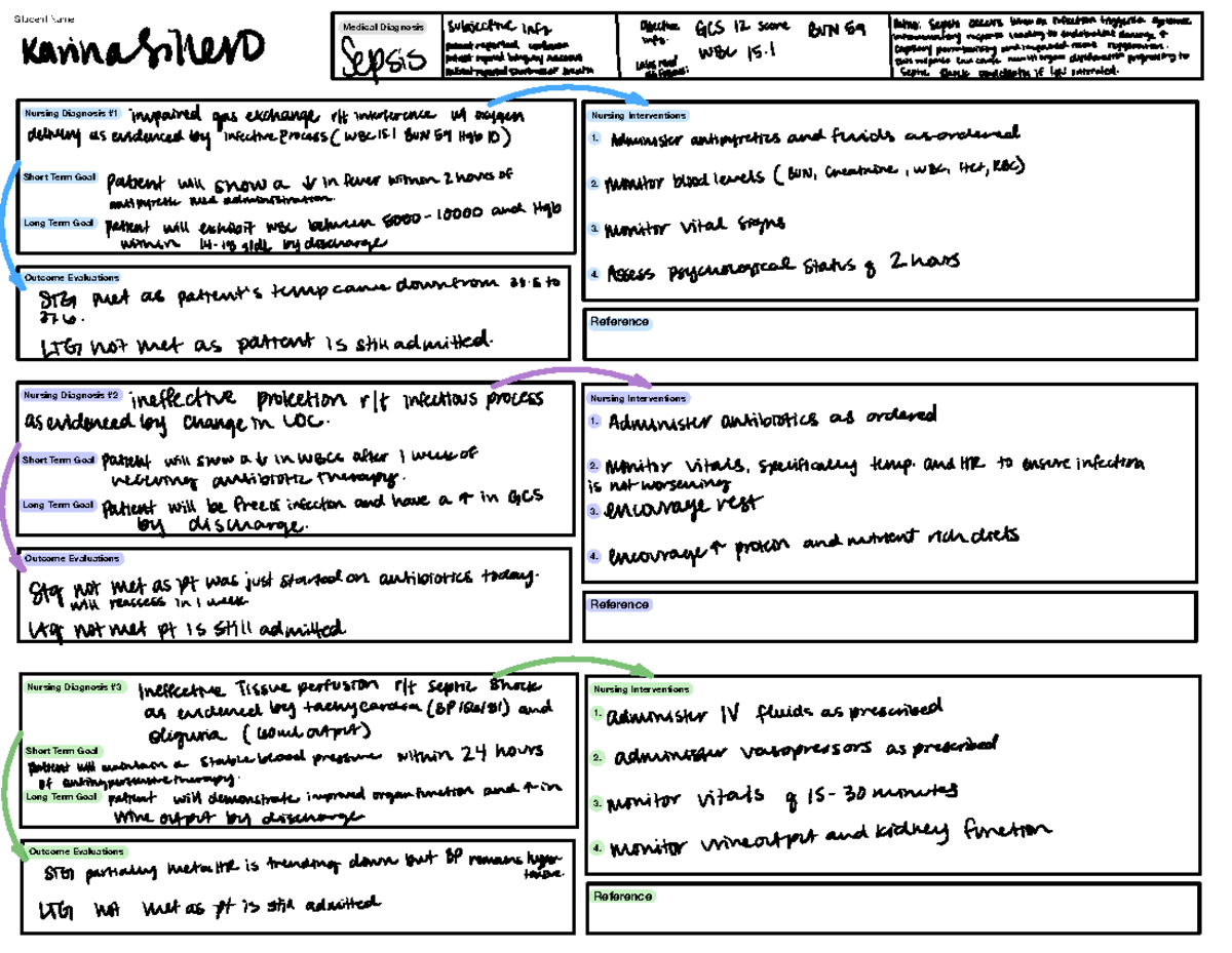 Sepsis Nursing Care Plan & Interventions: Clinical Concept Map (NUR 101 ...