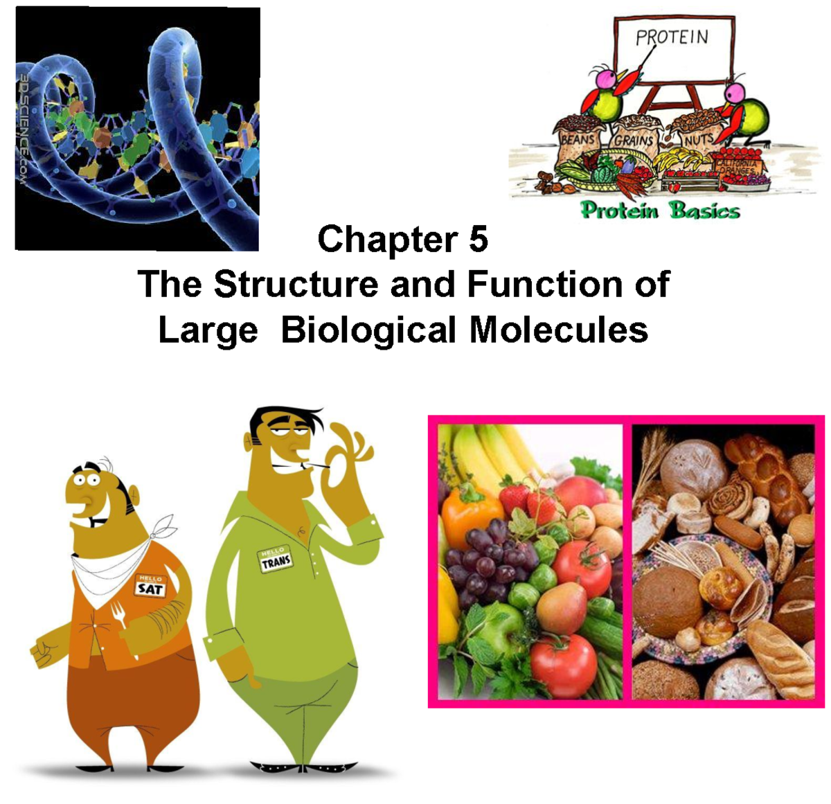 Biological Macromolecules: Structure & Function Notes (Chapter 5) - Studocu
