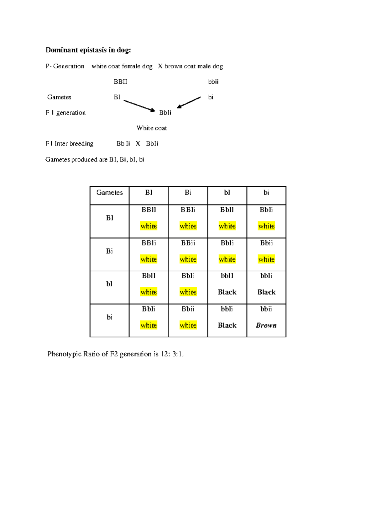 BIT - Module I: Dominant and Recessive Epistasis in Dogs - Studocu