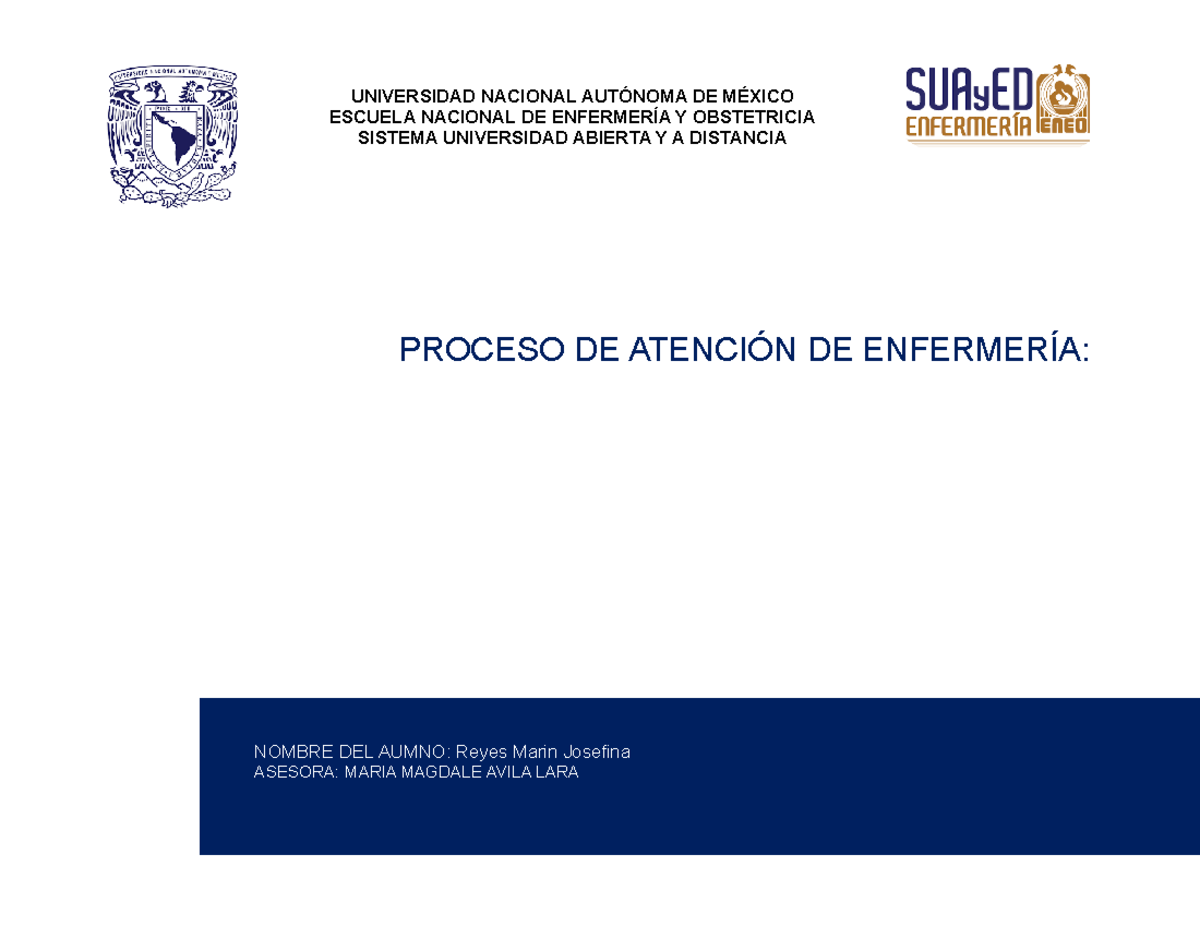 Formatos PAE ENEO 2023-1: Proceso de Atención de Enfermería - Studocu