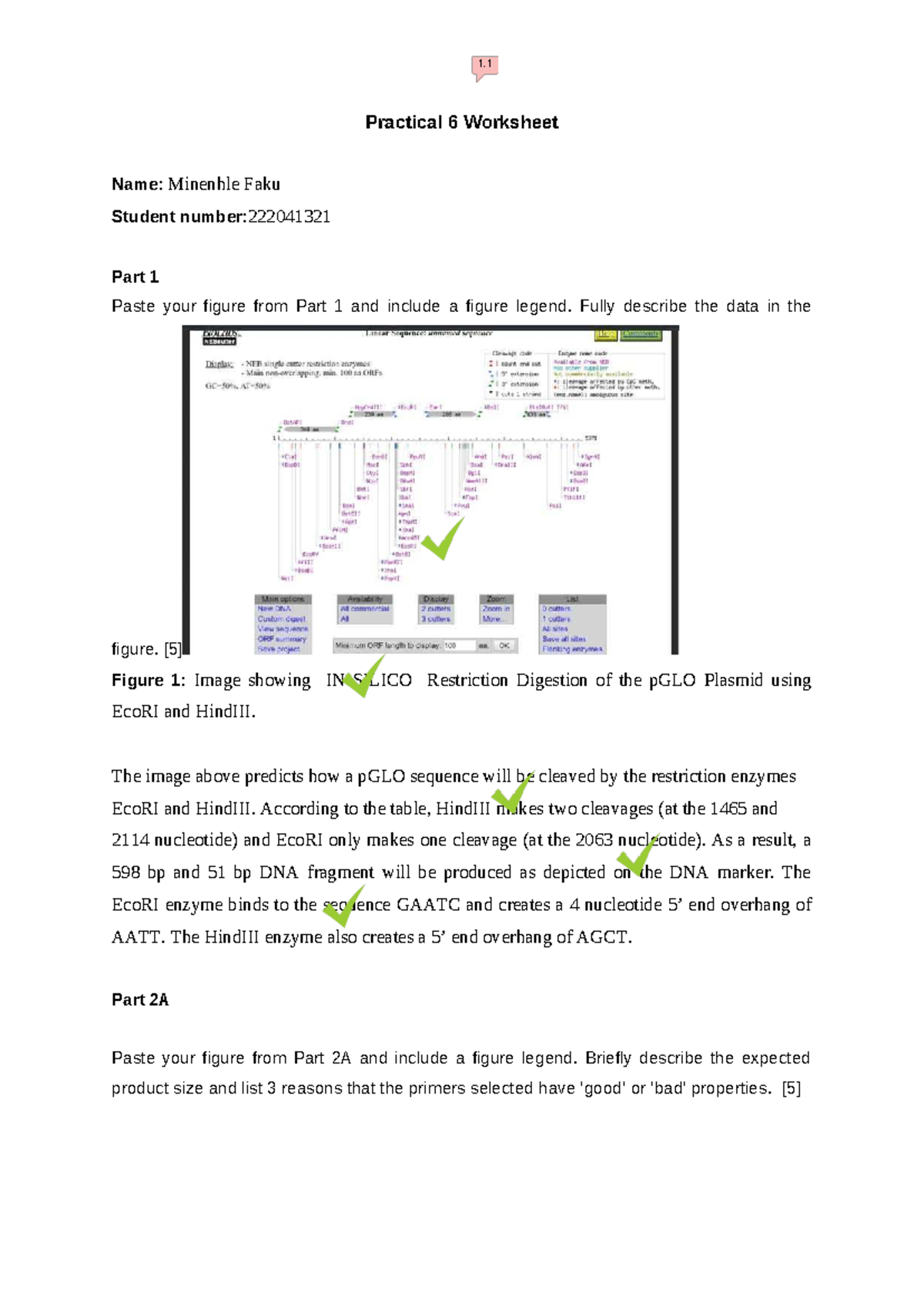PRAC 6 Worksheet: In Silico Analysis of pGLO Plasmid and GFP Primers ...