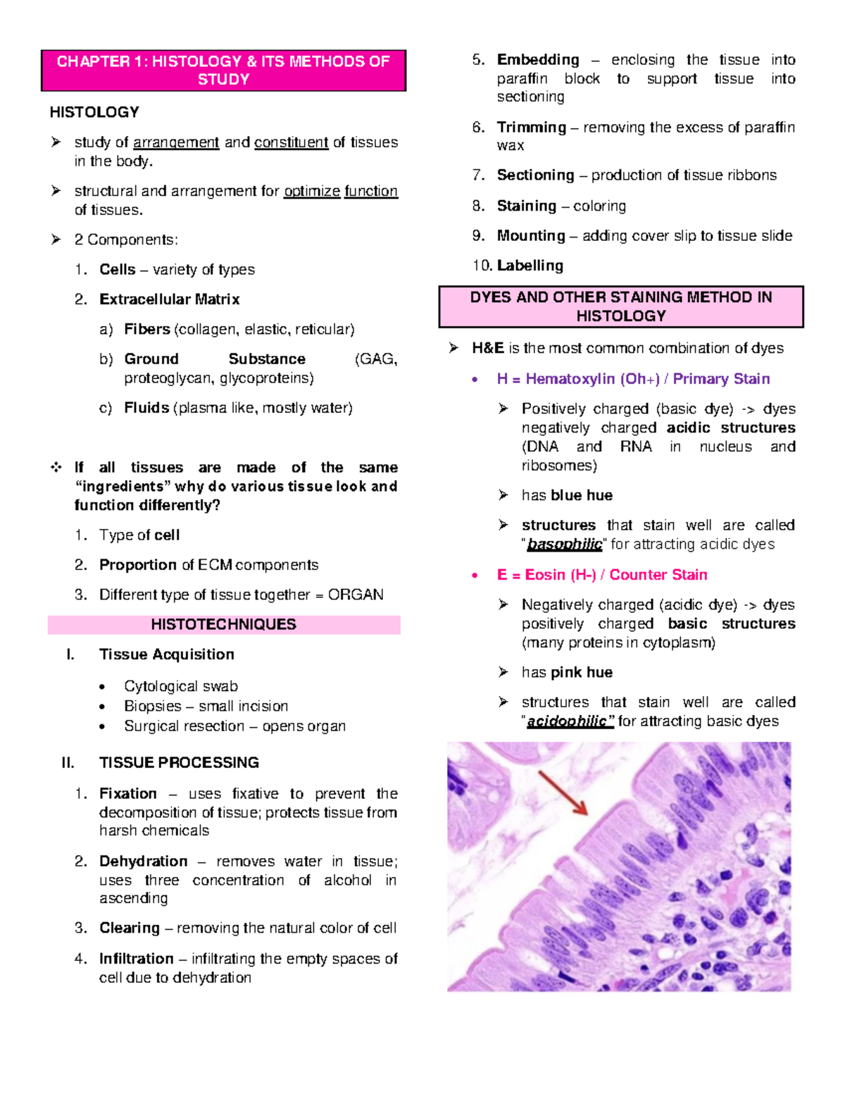 HISTOLOGY 101: CHAPTER 1 & 2 REVIEWER FOR PRELIM EXAMS - Studocu