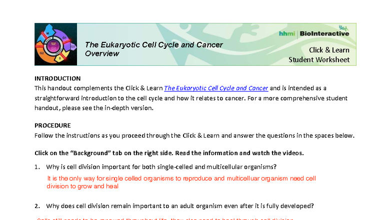 EUK 101: Eukaryotic Cell Cycle & Cancer Overview Worksheet - Studocu