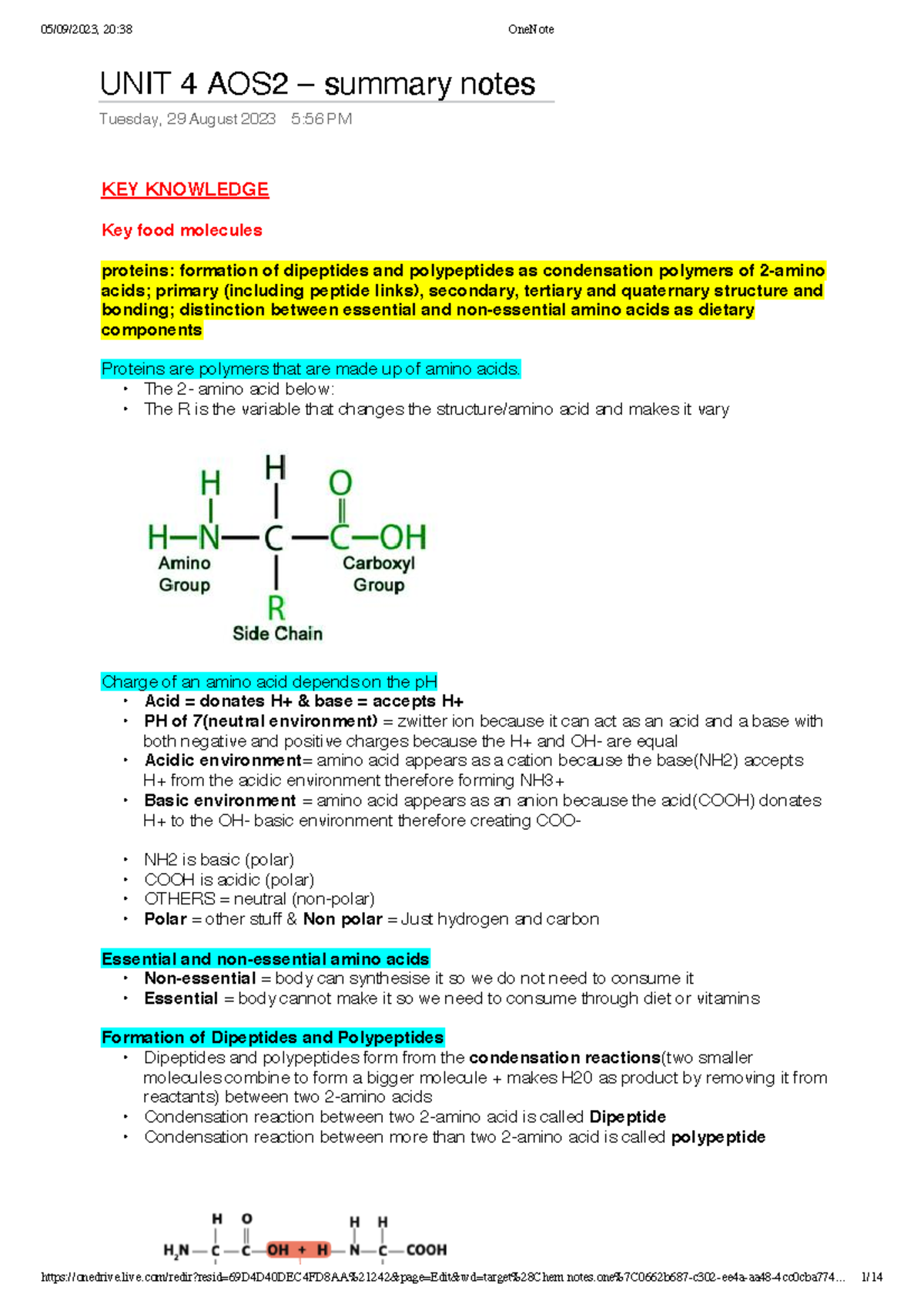 AOS2 Unit 4 Summary Notes: Key Knowledge on Proteins and Enzymes - Studocu