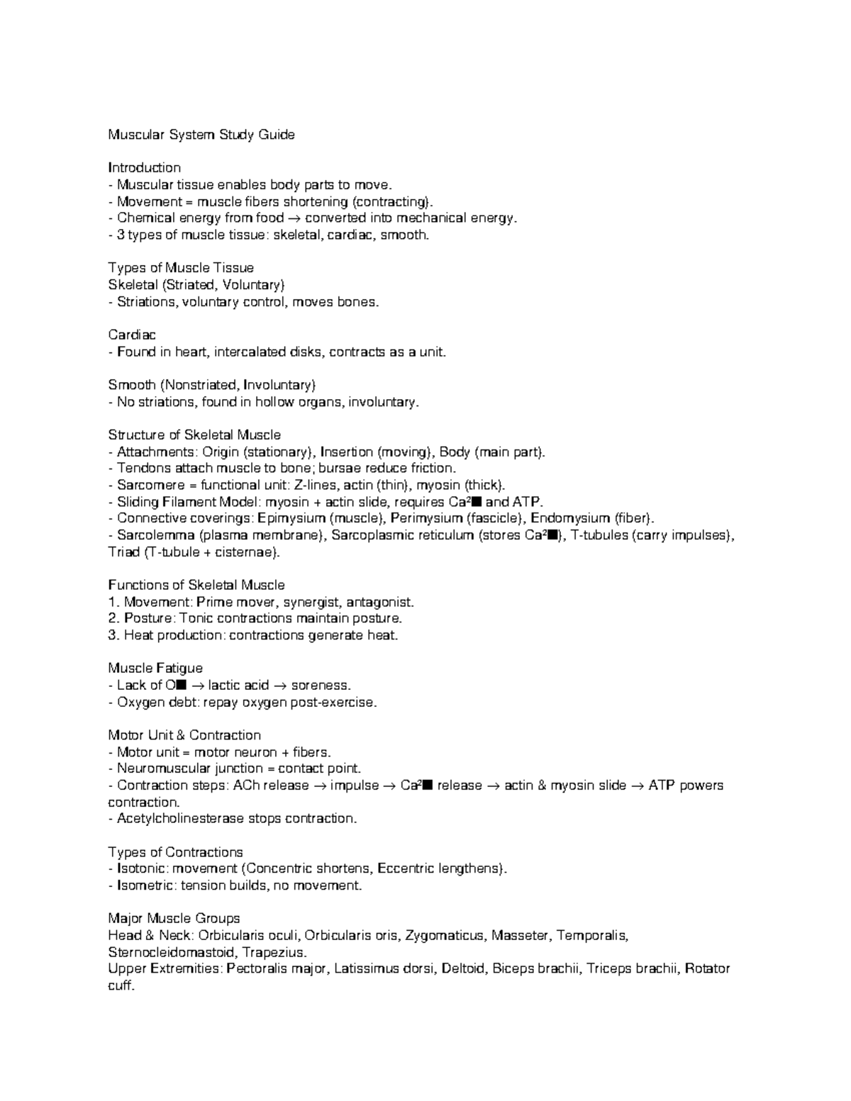 Muscular System Study Guide: Key Concepts & Muscle Types - Studocu