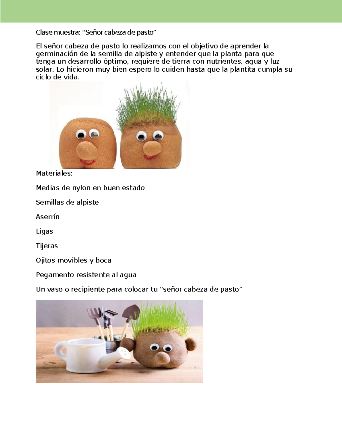Clase Muestra: Creación del Señor Cabeza de Pasto y Su Germinación ...