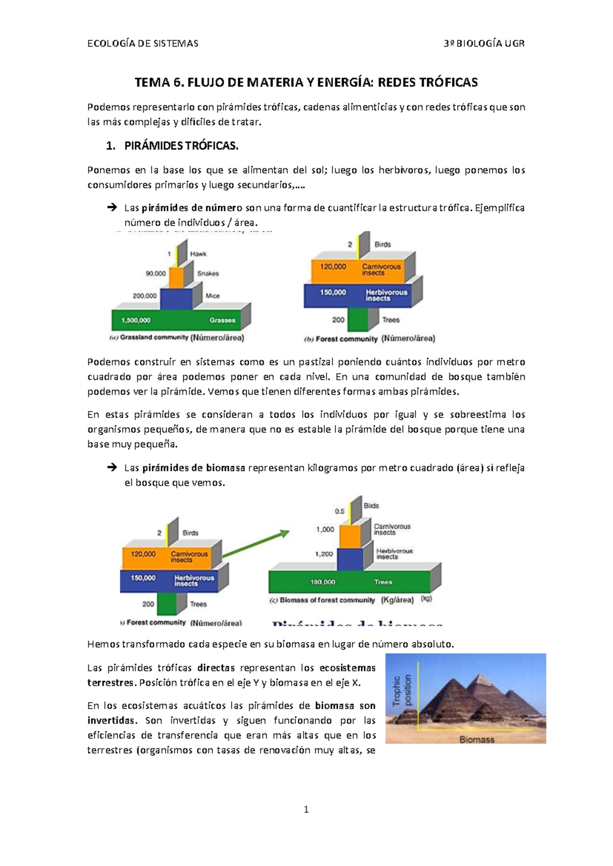 TEMA 6: FLUJO DE MATERIA Y ENERGÍA EN REDES TRÓFICAS - ECOLOGÍA DE ...
