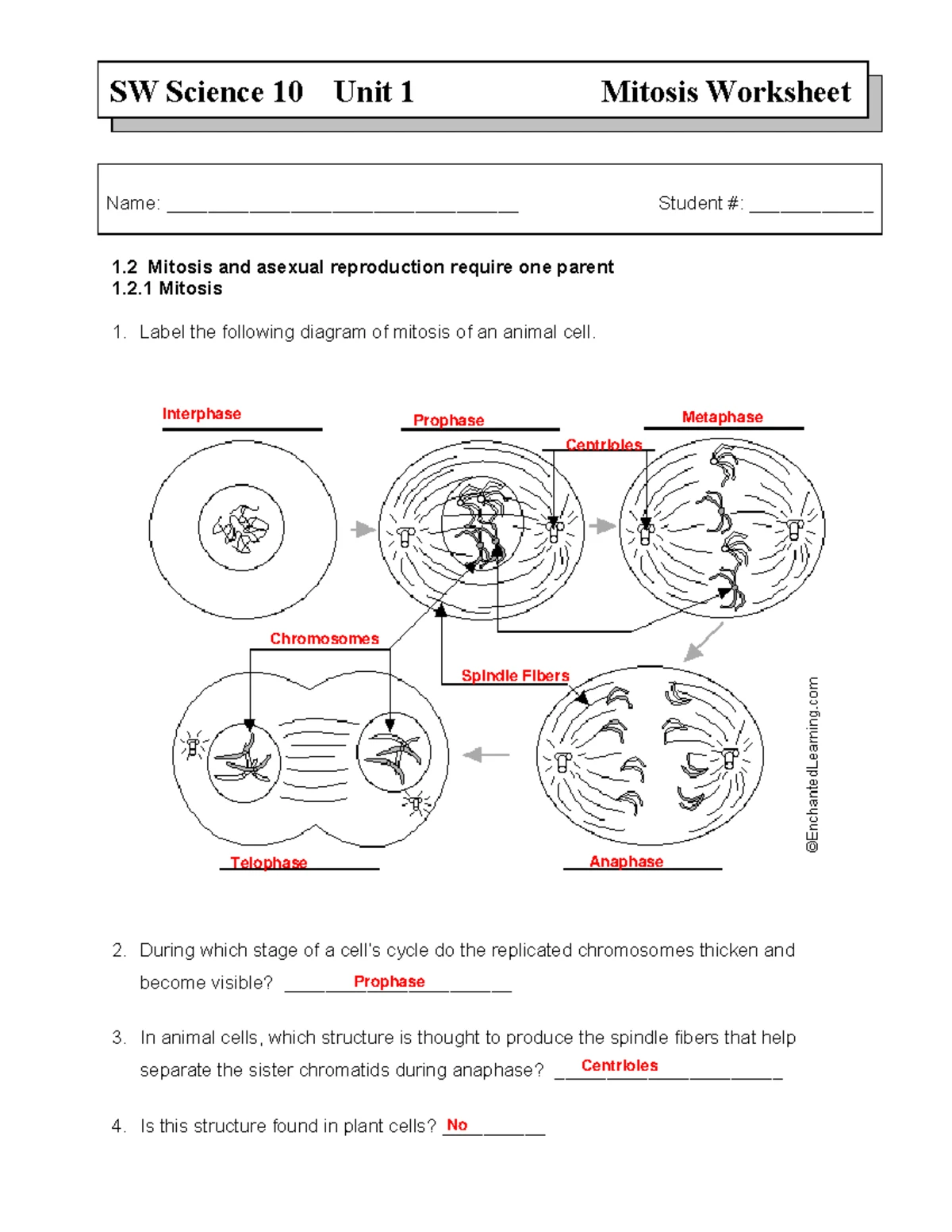 Understanding and Analyzing Medical Terminology: A Comprehensive Guide ...