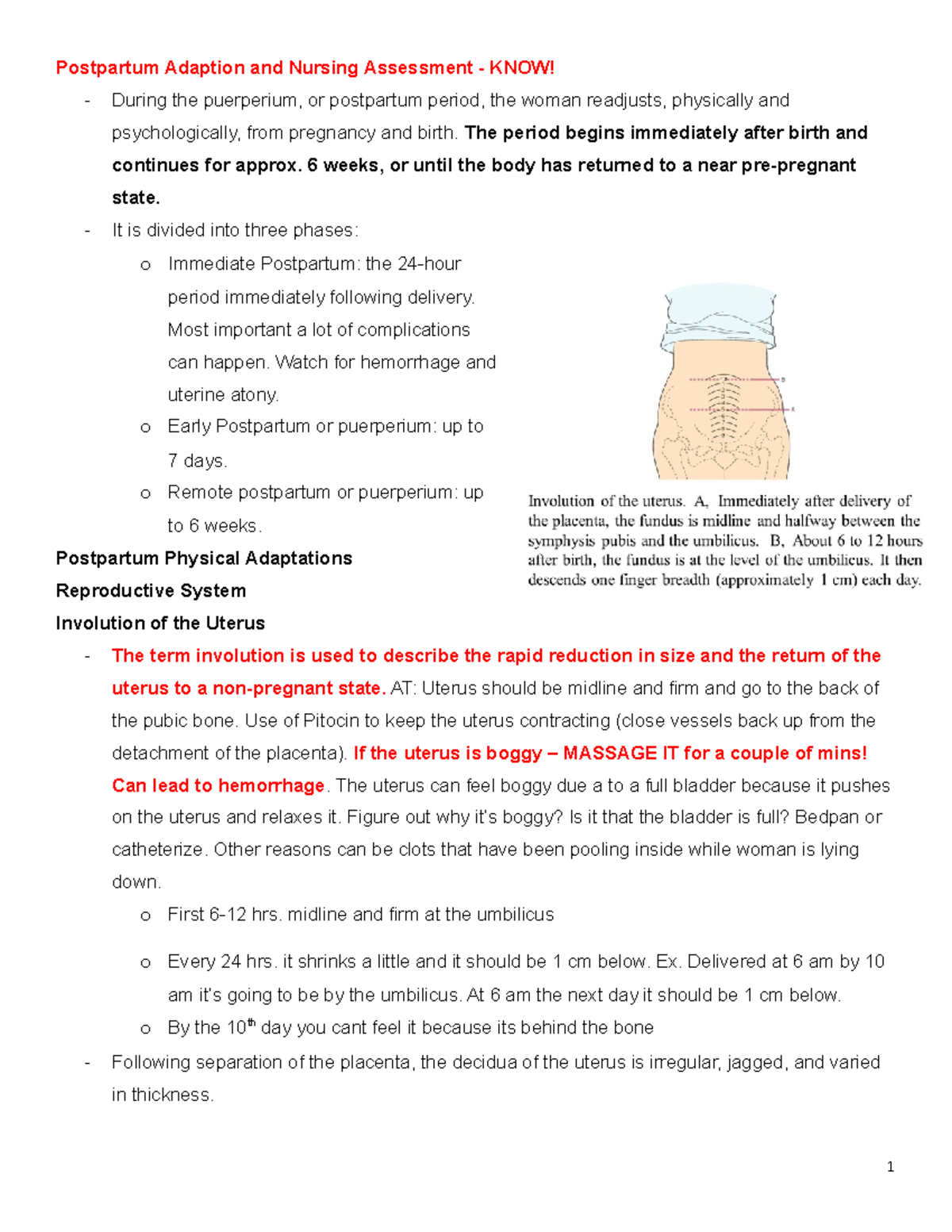 OB Final SG - Postpartum Adaptation & Nursing Assessment - Studocu