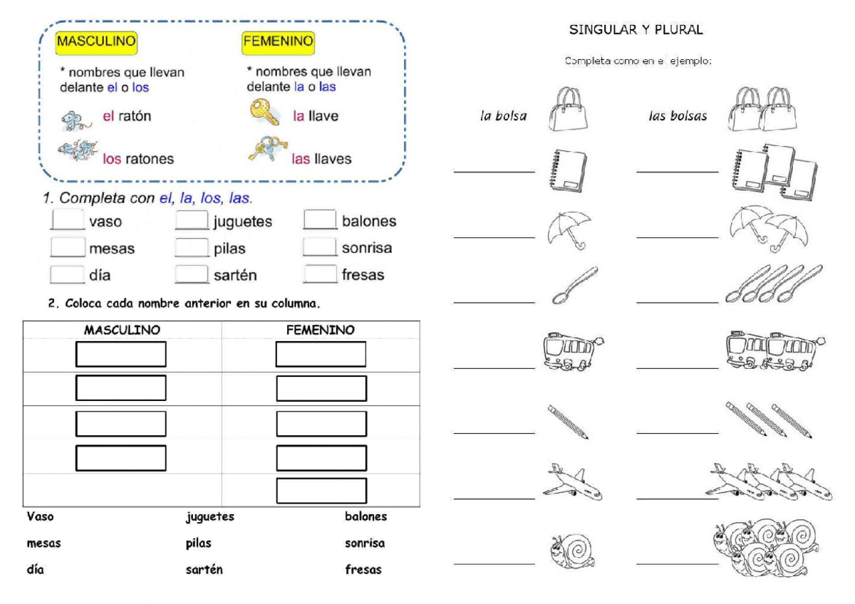 Comunicación (43) - Singular y Plural: Masculino y Femenino - Studocu