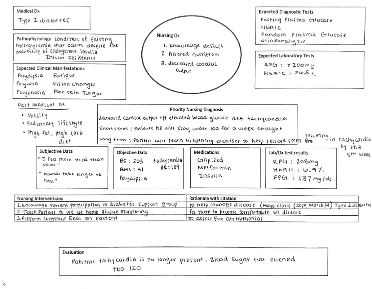 CM2 - concept map - NSG 4100 - Studocu