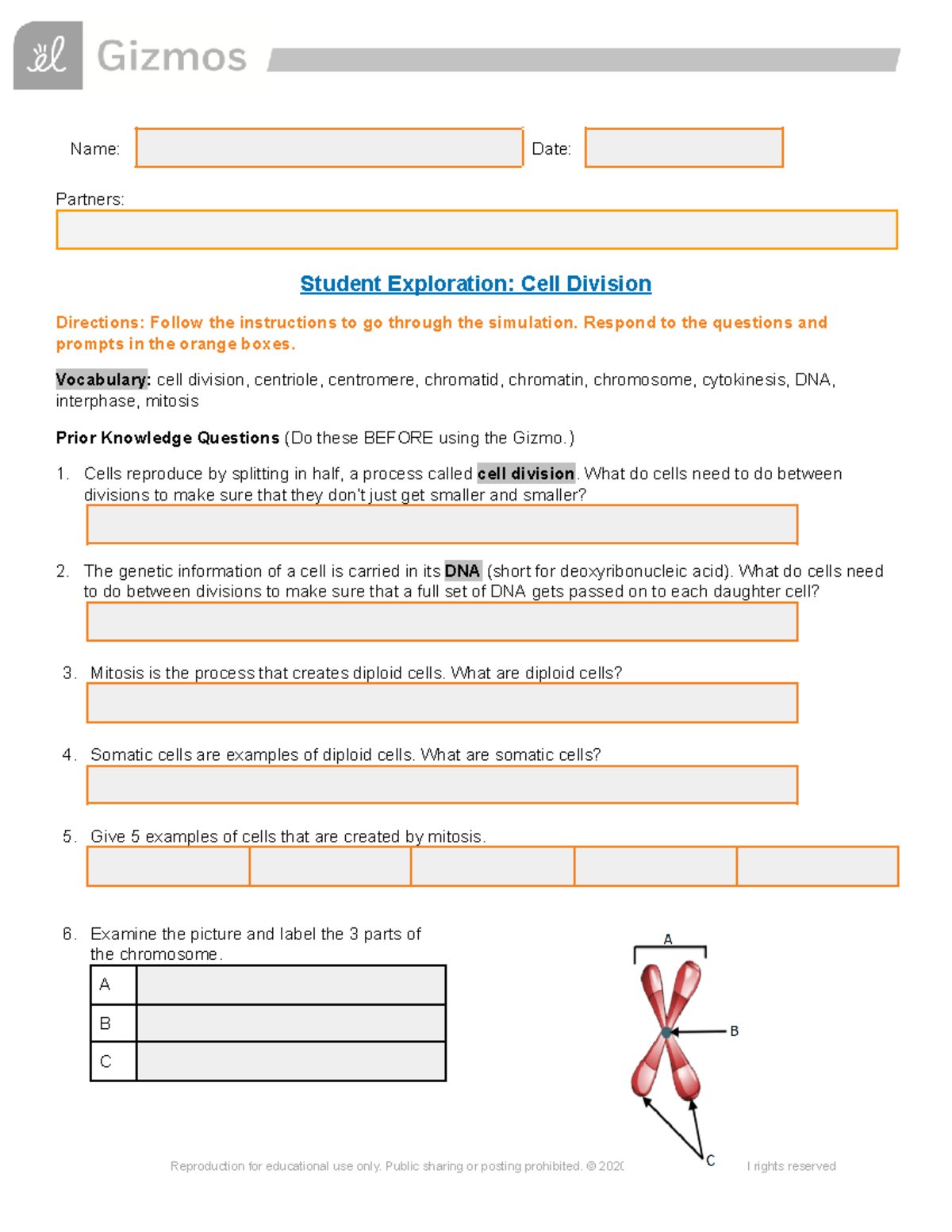 Gizmo Lab: Understanding Cell Division & Mitosis Simulation Guide - Studocu