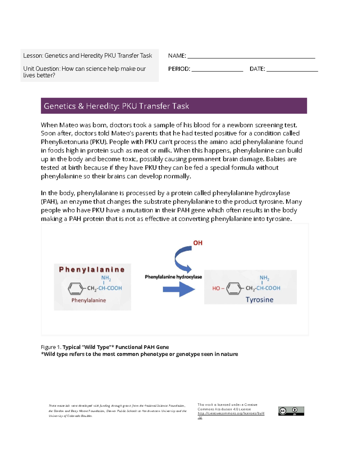 Assessment - PKU - Genetics - Lesson: Genetics and Heredity PKU ...