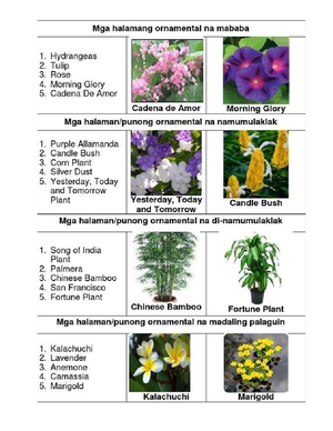 PISA Questions Week 2 - pisa sample question - PISA Practice Test ...