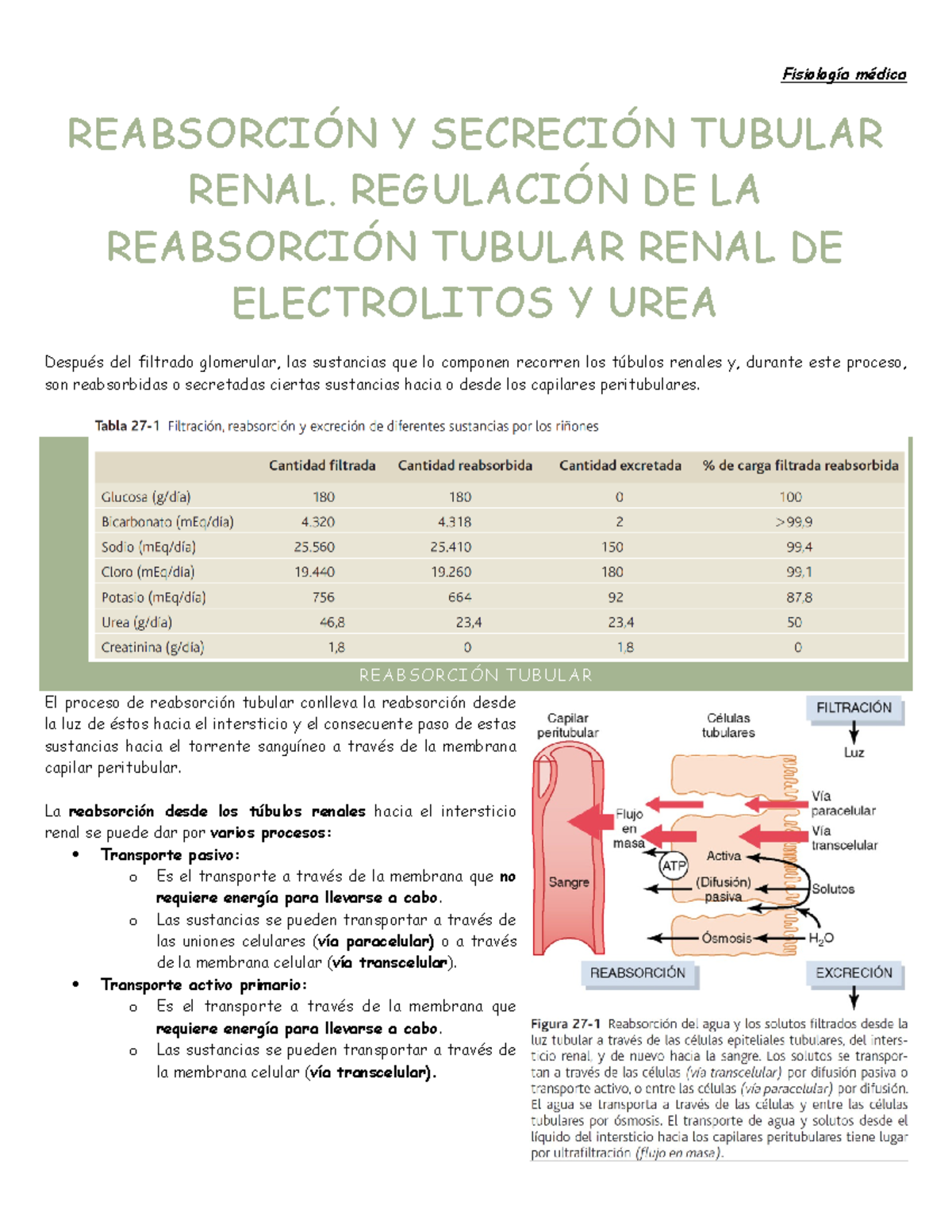 Reabsorción y Secreción Tubular Renal: Regulación de Electrolitos y ...