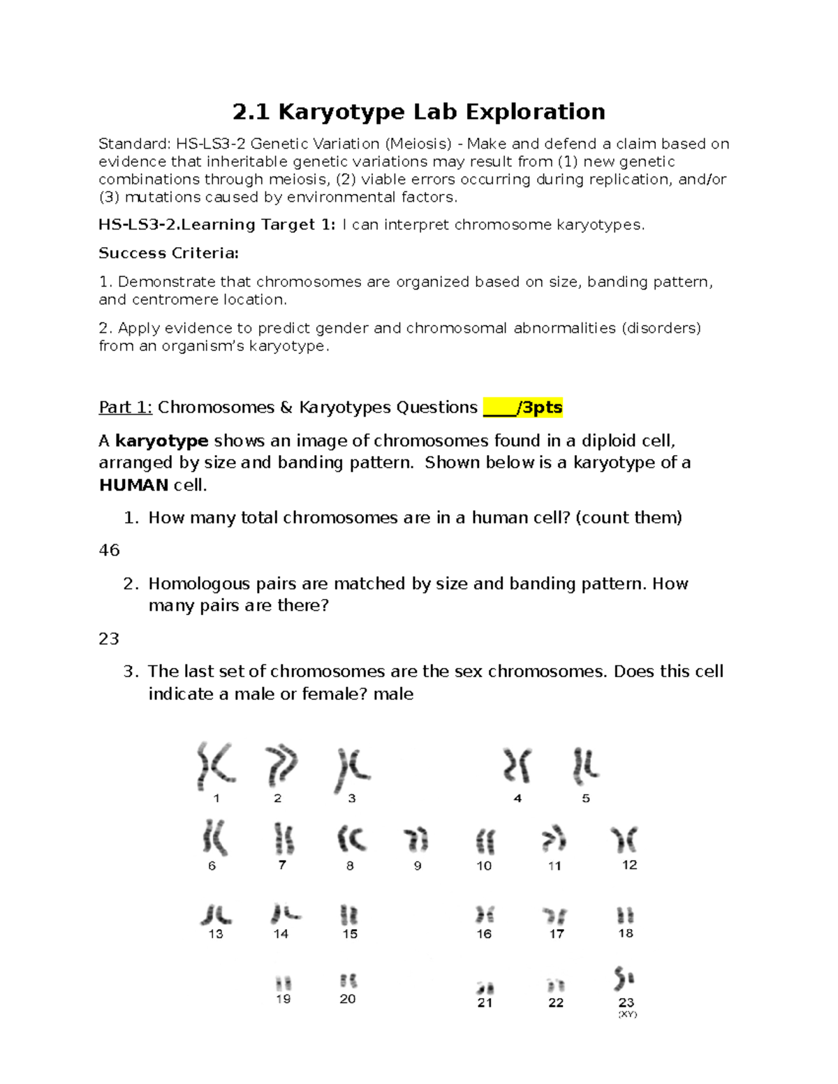 2.1 Karyotype Lab Exploration: Genetic Variation & Chromosomal Analysis ...