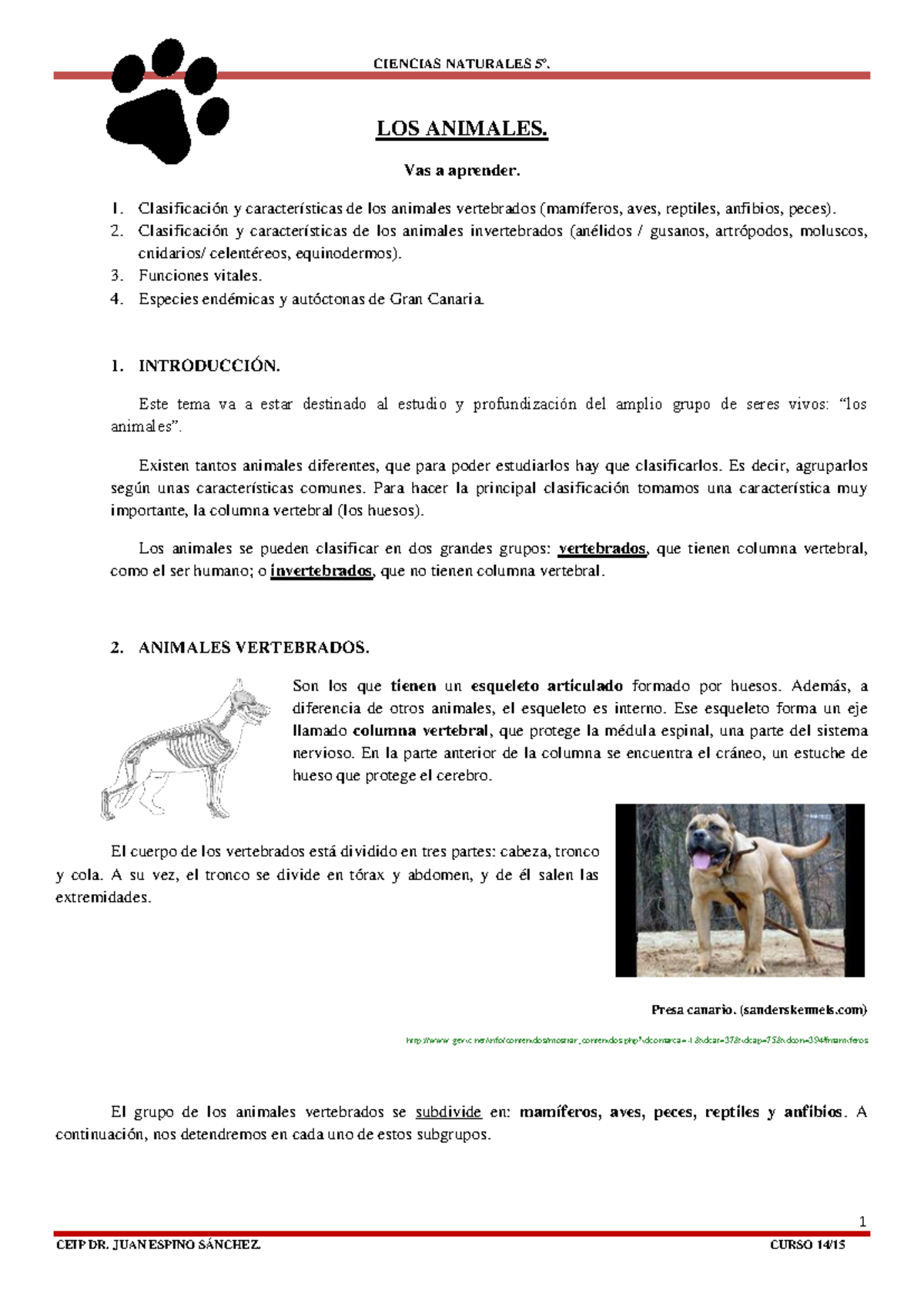 CIENCIAS NATURALES 5º: Clasificación y Características de los Animales ...