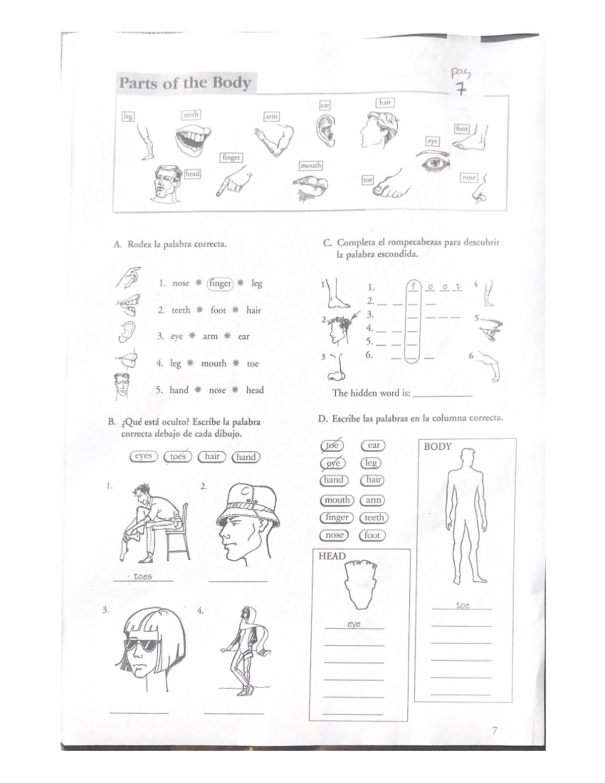 Parts of the Body - Ejercicios (7) for Learning Body Vocabulary - Studocu