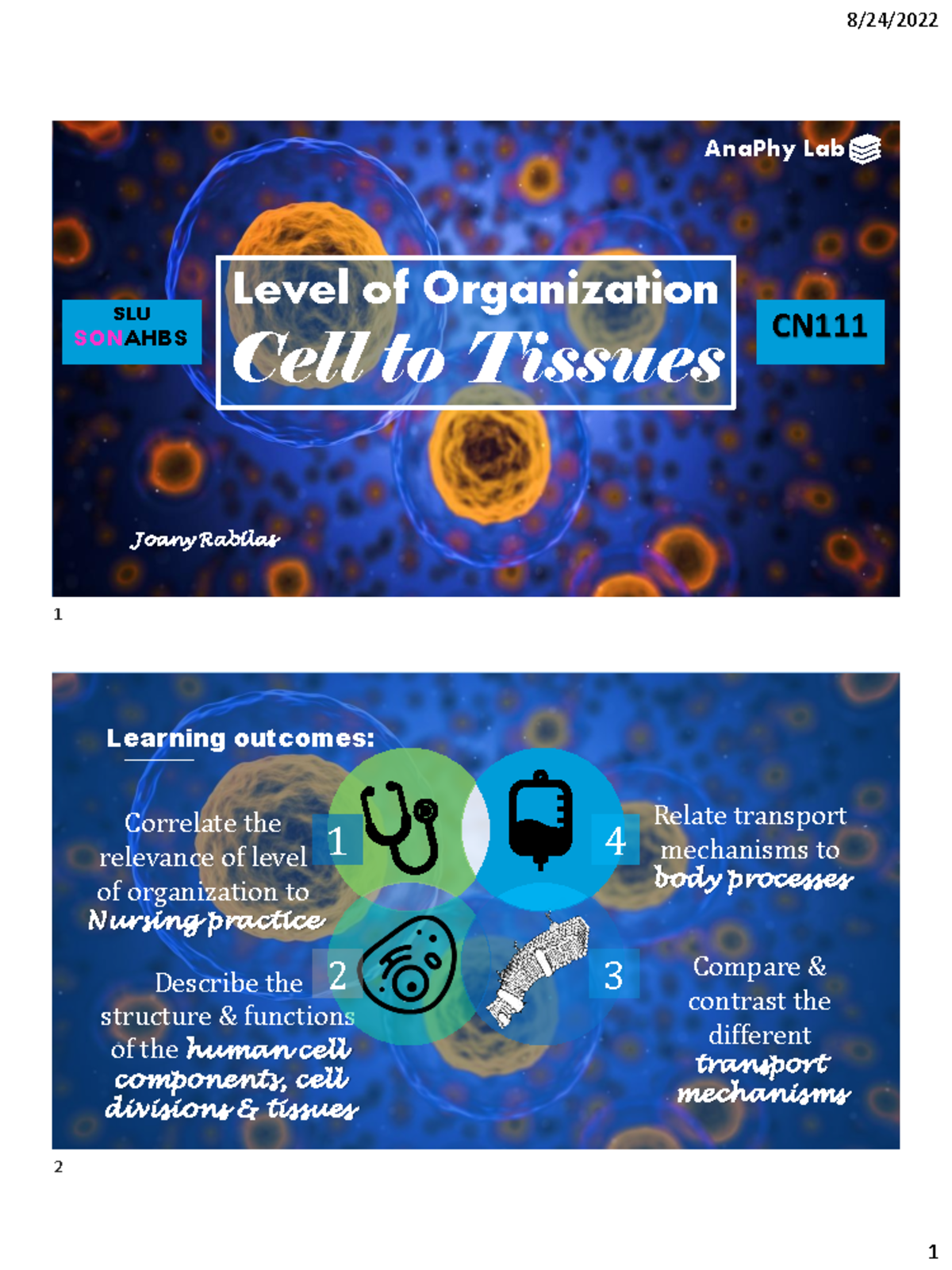 U1 Level of org Ana Phy intro ppt - AnaPhy Lab Joany Rabilas SLU ...