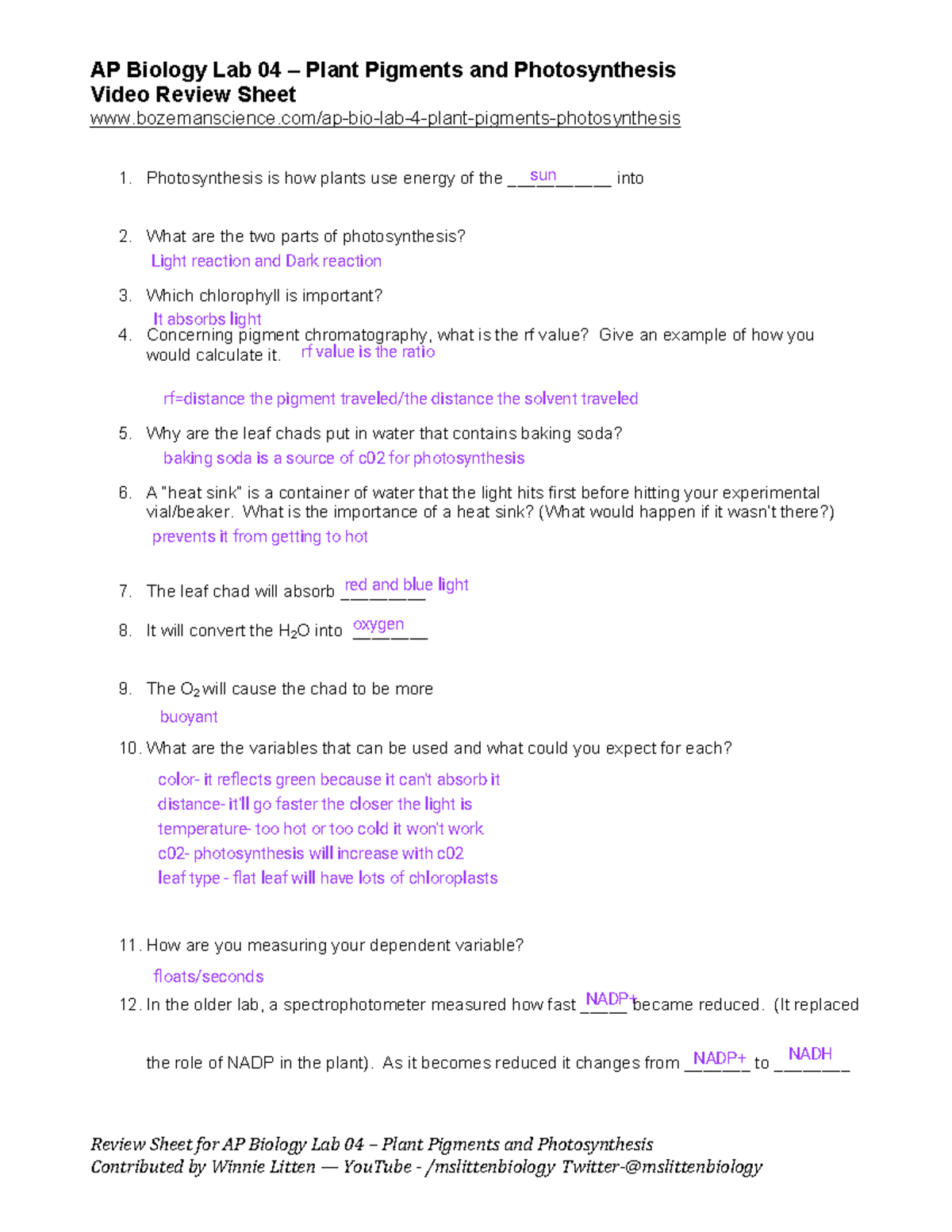 AP Biology Lab 04: Plant Pigments & Photosynthesis Review Notes - Studocu