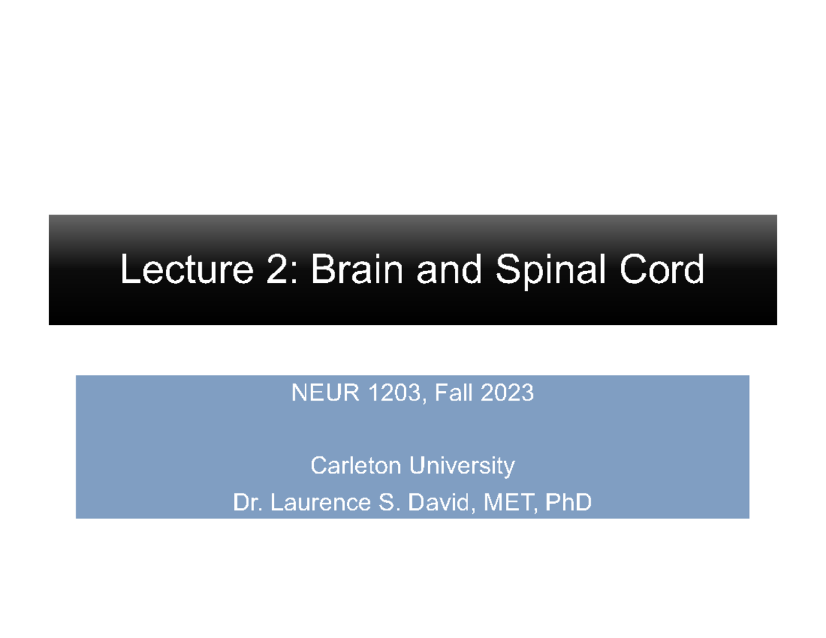 Lec 2-Brain And Spinal Cord - Lecture 2: Brain and Spinal Cord NEUR ...