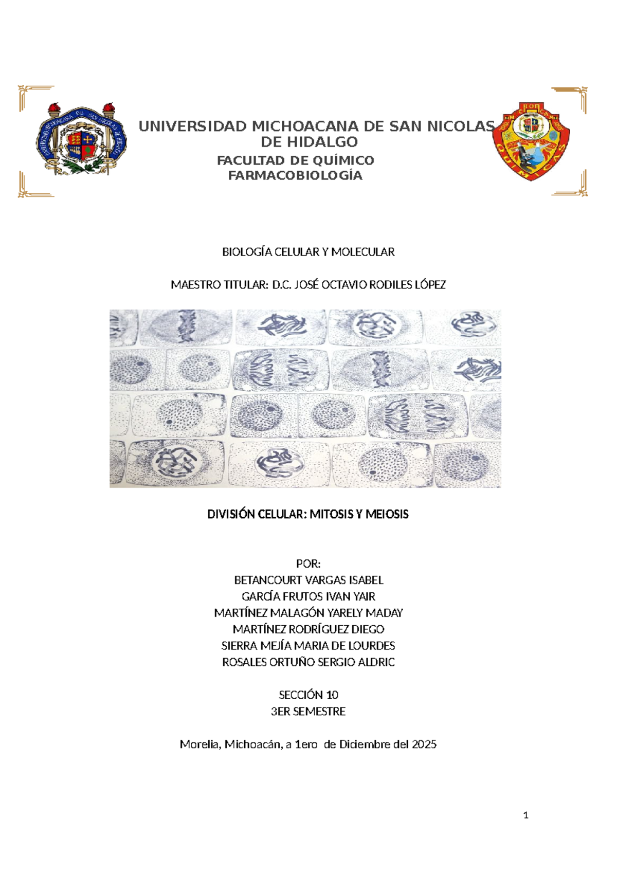 División Celular: Mitosis y Meiosis - Trabajo Final QFB 3er Semestre ...