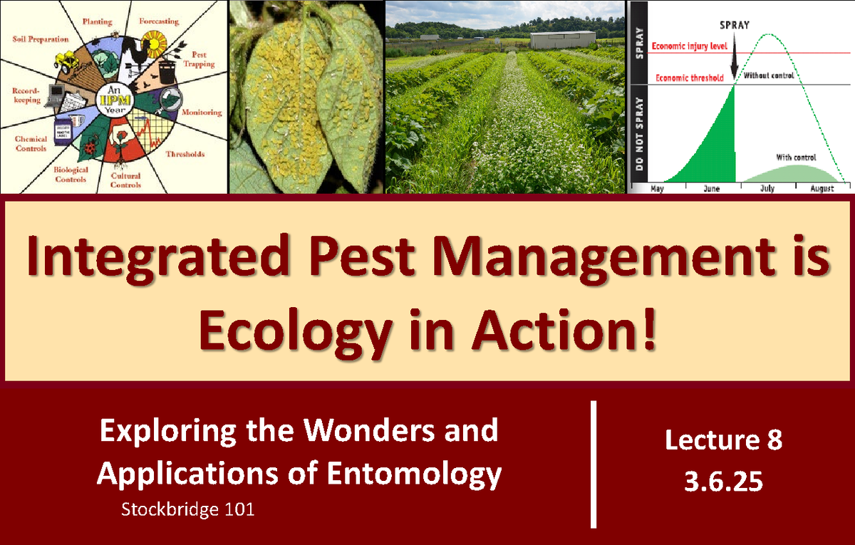 Integrated Pest Management: Lecture 8 - Entomology Insights - Studocu