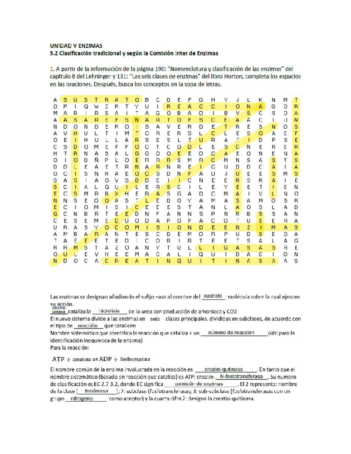 Enzimas Act. 2 - Sopa de letras y completar texto - Bioquímica ...