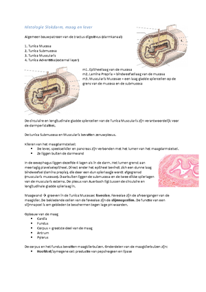 Histologie Lever en galwegen - Leverlobjes worden van elkaar gescheiden ...