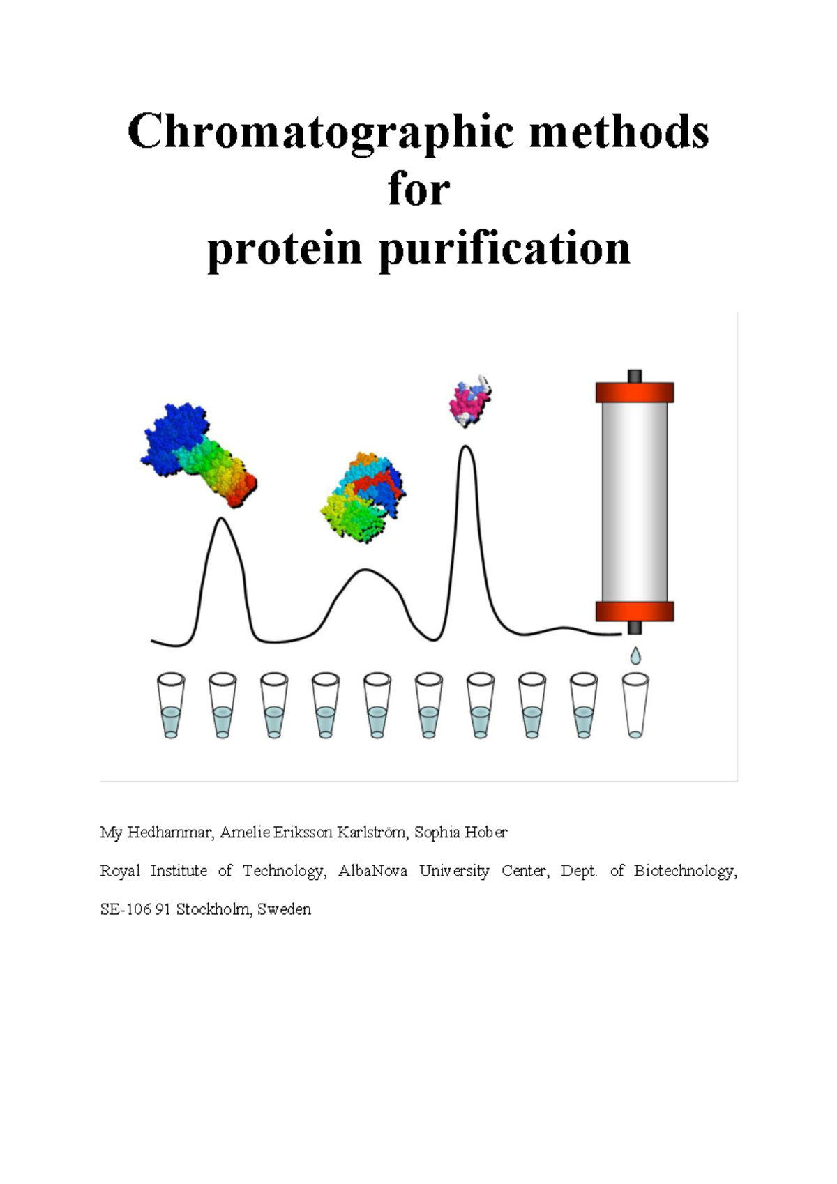 Chromatographic Methods for Protein Purification: A Comprehensive Guide ...