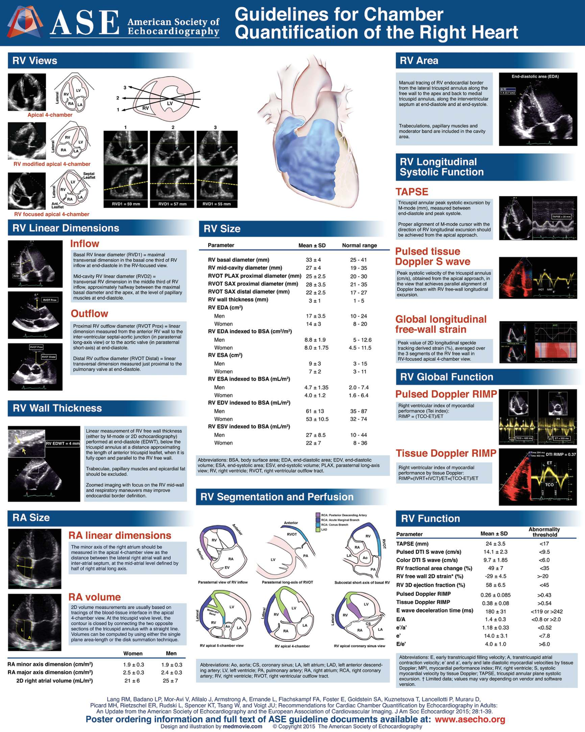Final CQ Right Heart Guidelines (ASE) for Echocardiography - Studocu