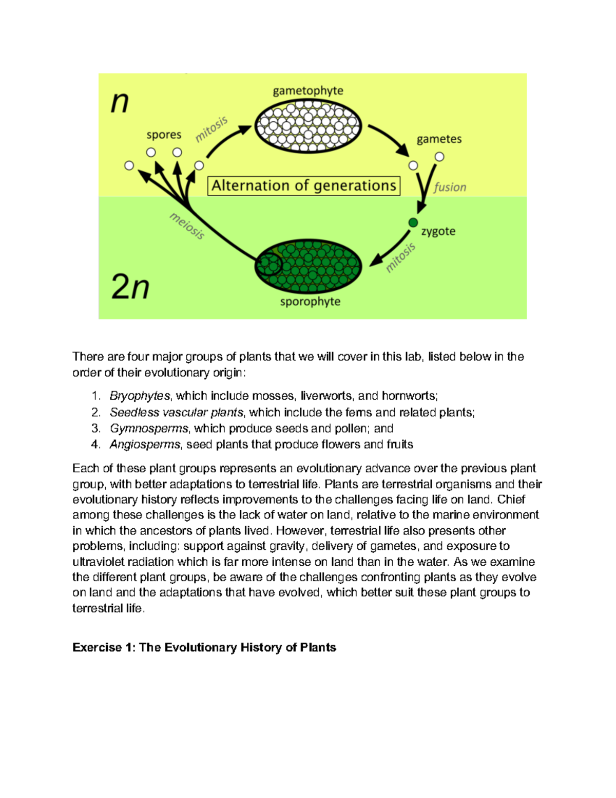 LM EX11 Plants - Lab 11: Evolutionary History and Classification - Studocu