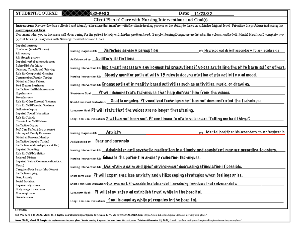 Case Study Care Plan: Nursing Interventions for Mental Health (NSG-3480 ...