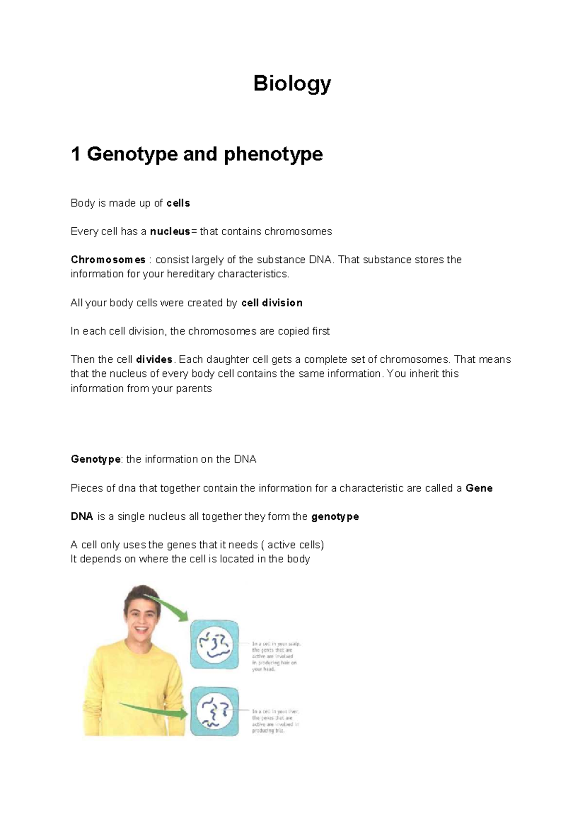 Biology 1: Genotype, Phenotype, and Chromosomes Overview - Studeersnel