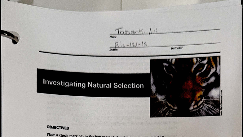 Investigating Natural Selection: STU 101 Lab Activity Guide - Studocu