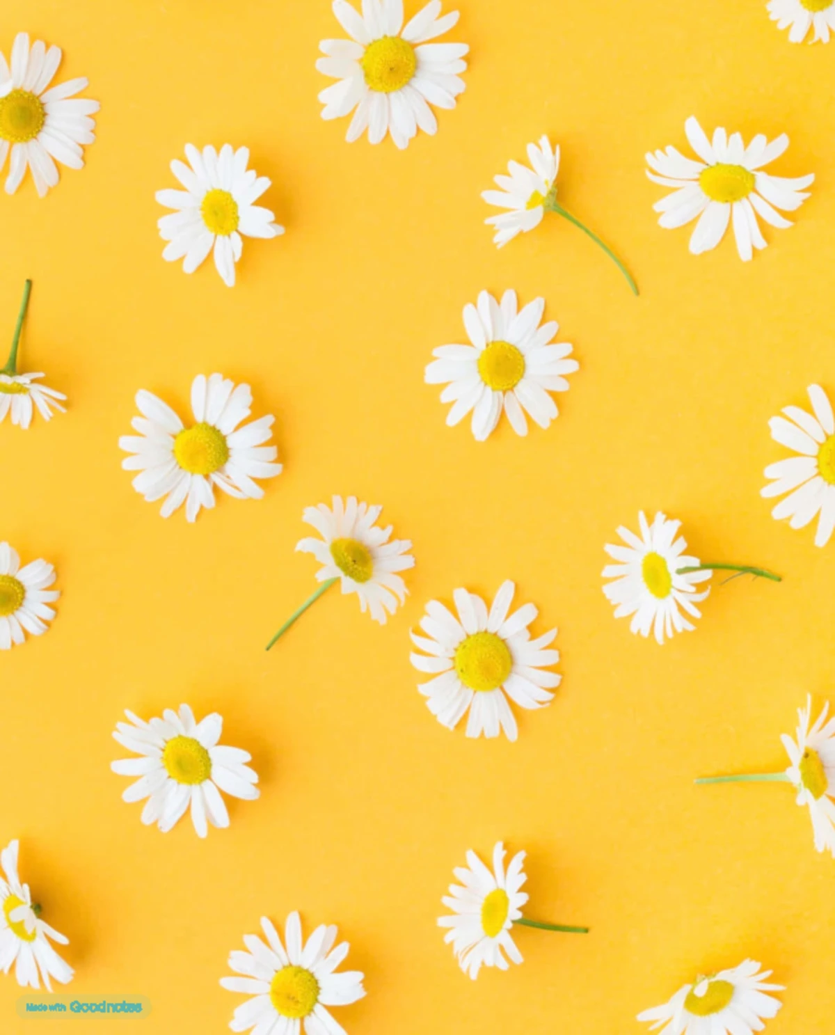 Geomorphology Lecture Notes: Drainage Basins & Fluvial Processes - Studocu