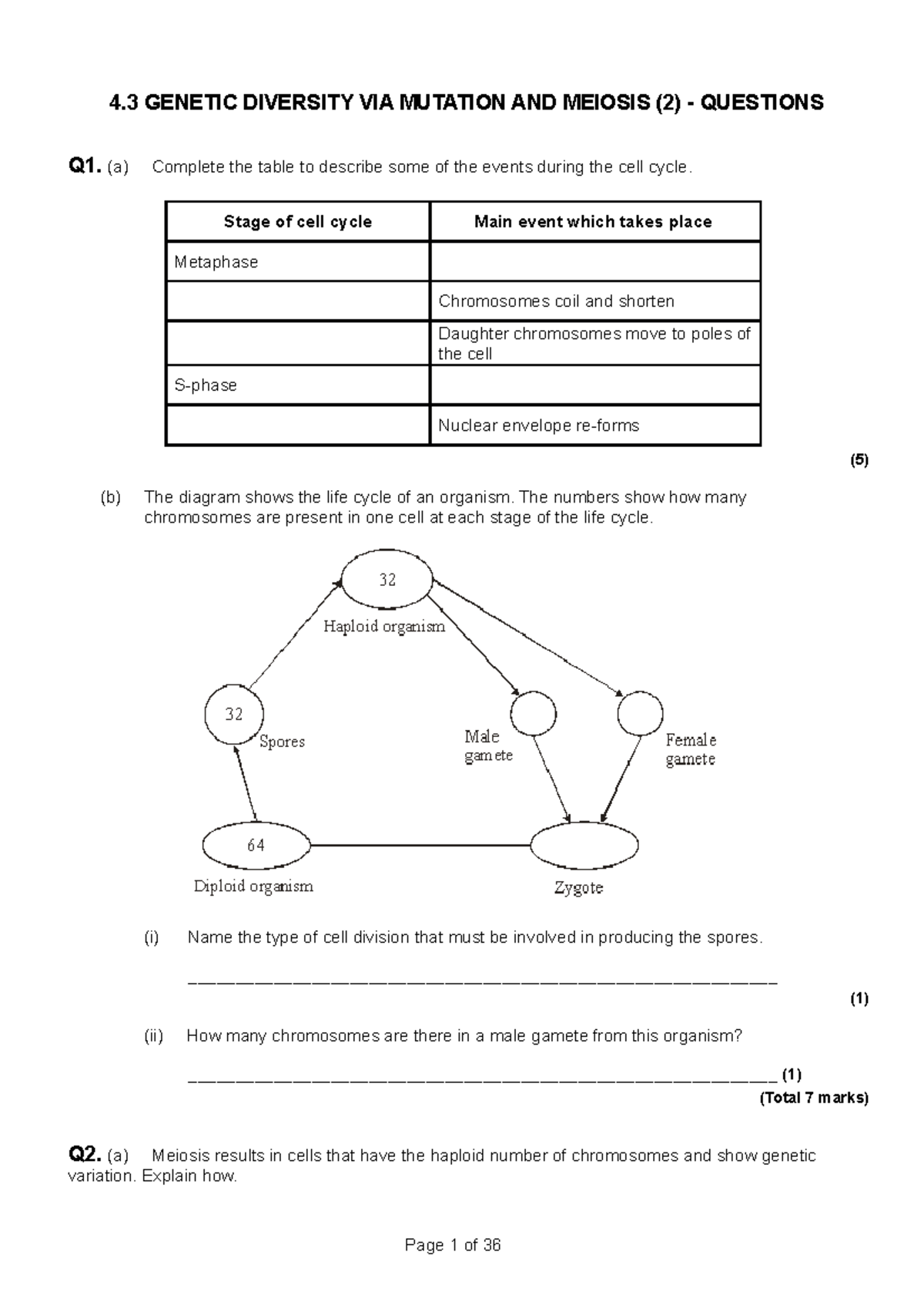 Genetic-Diveristy-Via-Mutation-and-Meiosis - 4 GENETIC DIVERSITY VIA ...