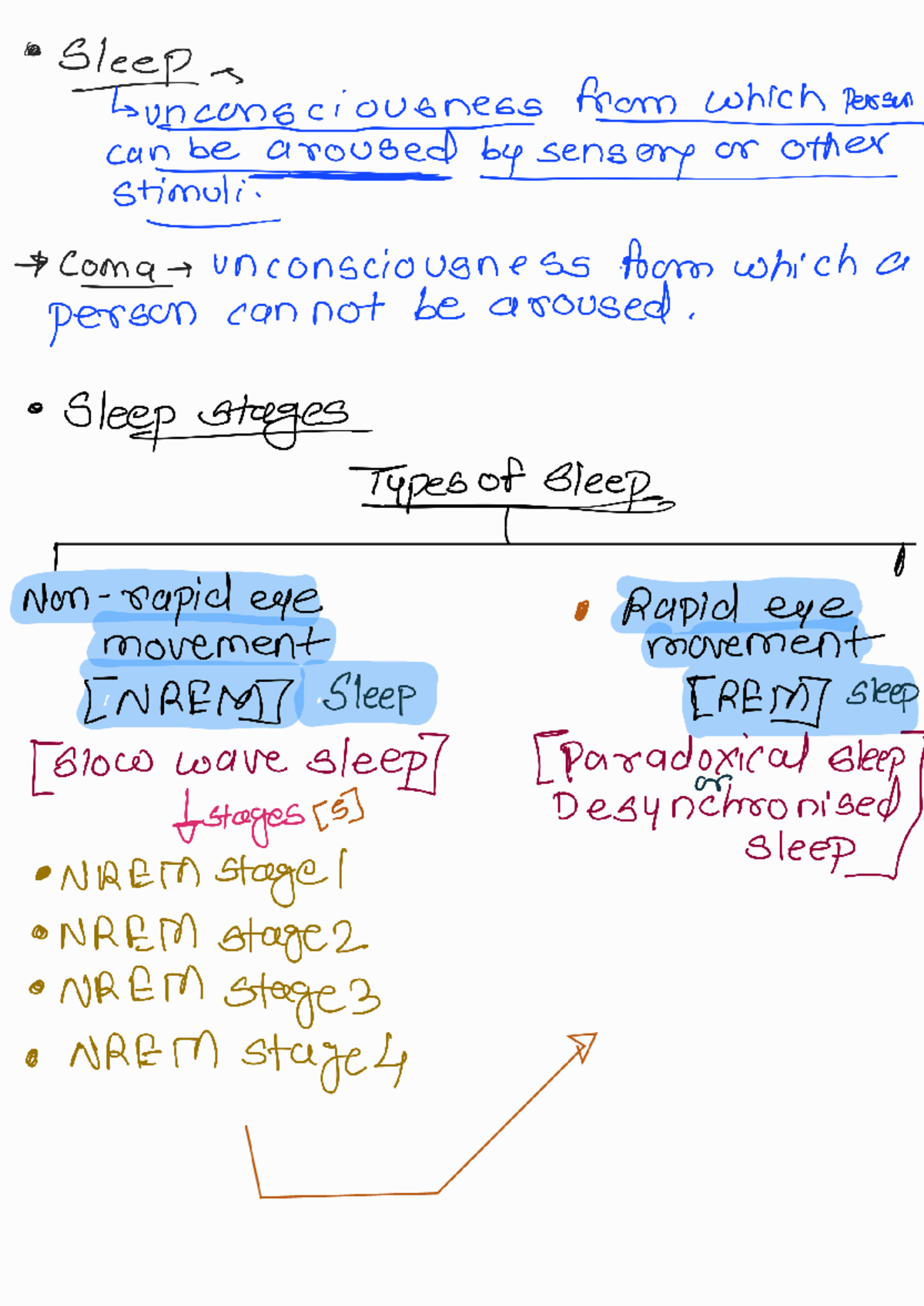Sleep Stages and Disorders: 2nd Year Notes (Sleep 250420) - Studocu