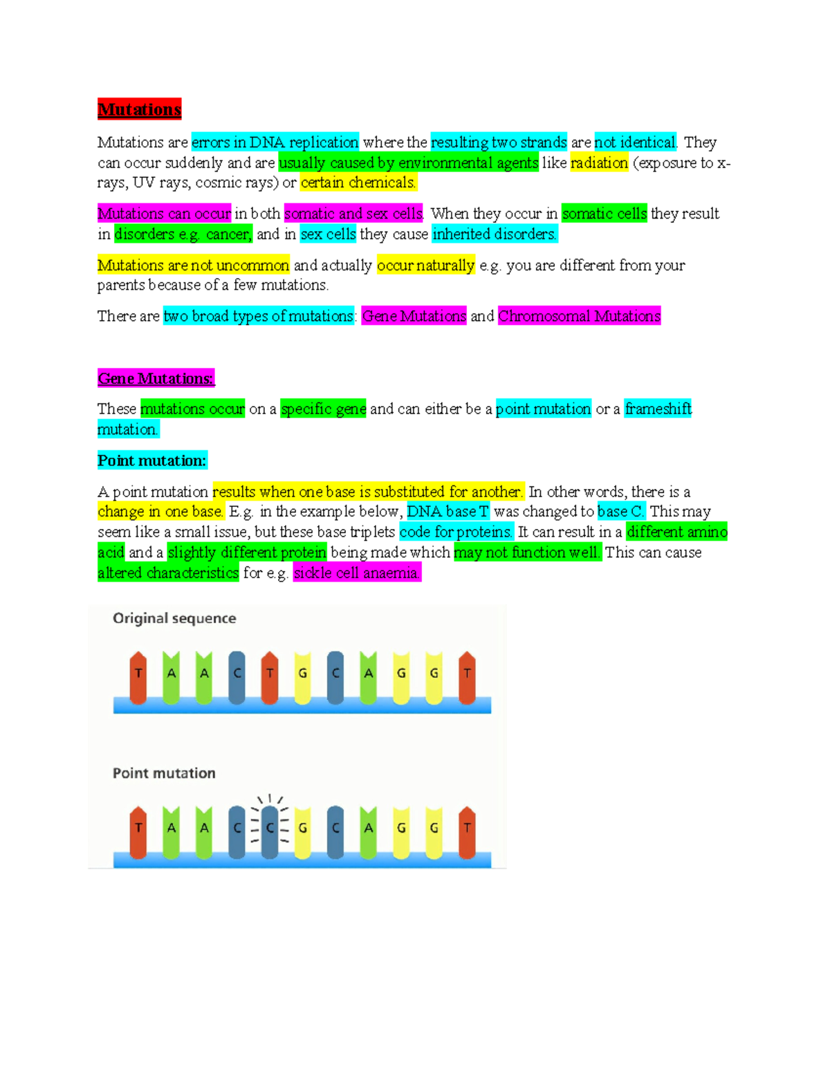 Genetics 101: Summary of Mutations and Their Effects on Organisms - Studocu
