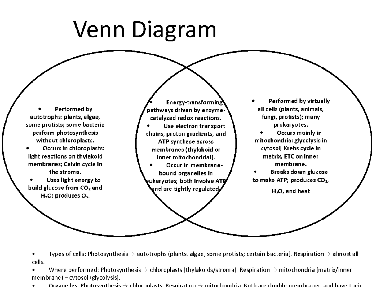 Chapter 5 Homework: Photosynthesis & Cellular Respiration Overview ...