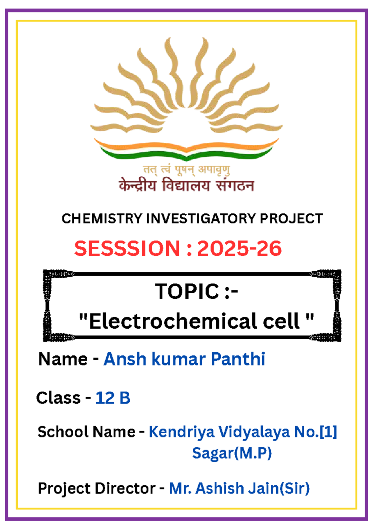 CHEMISTRY PROJECT (Class 12 B): Electrochemical Cell Investigation ...