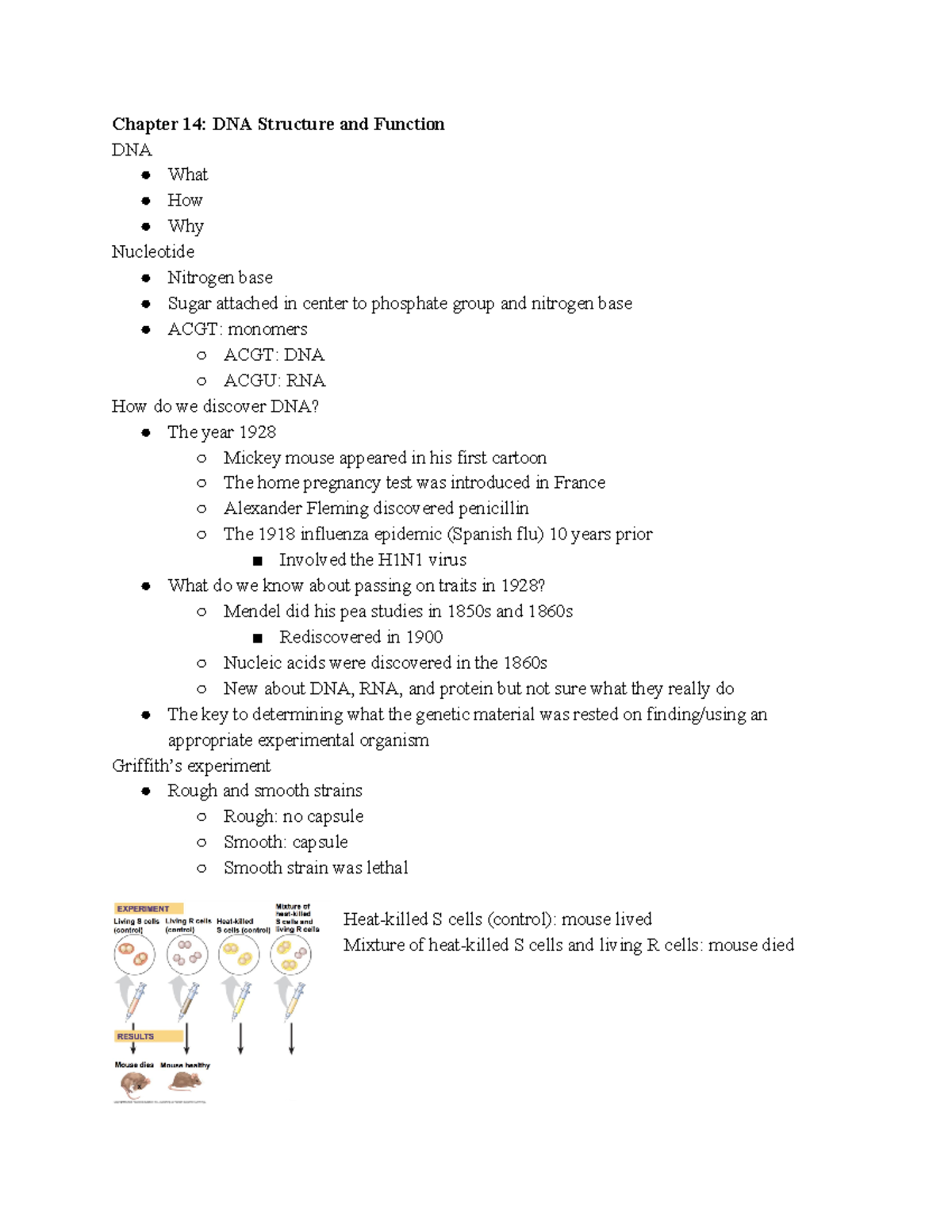 BIO101 Final Exam Study Guide: DNA Structure & Function Insights - Studocu