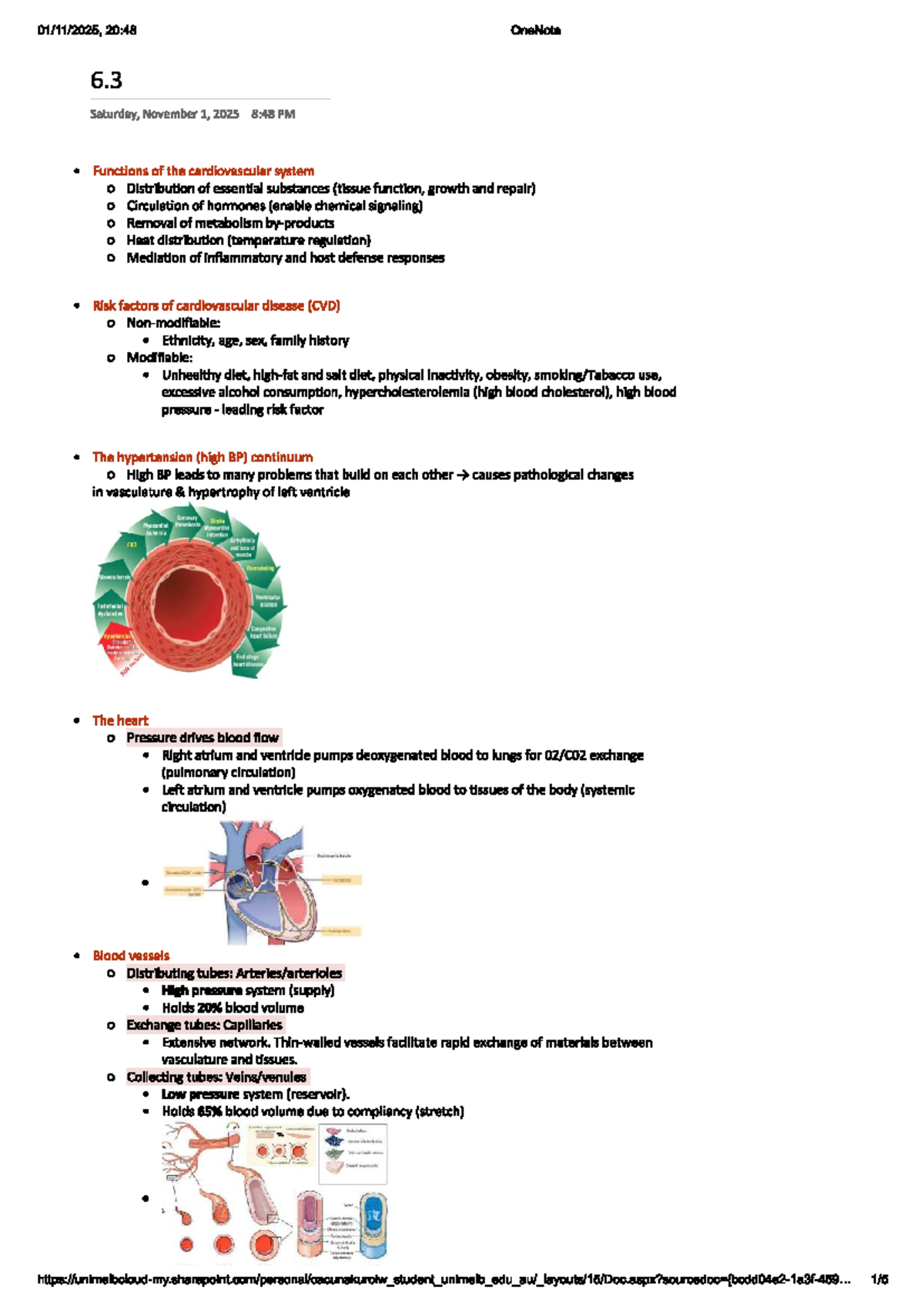 Cardiovascular System Functions & Hypertension Management (6.3) - Studocu