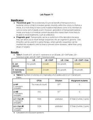Biochemical Tests and Their Use For Identification Purposes Lab Report ...