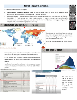 Anatomia DEL Corazon - Surco coronario o AV Surco interventricular ...