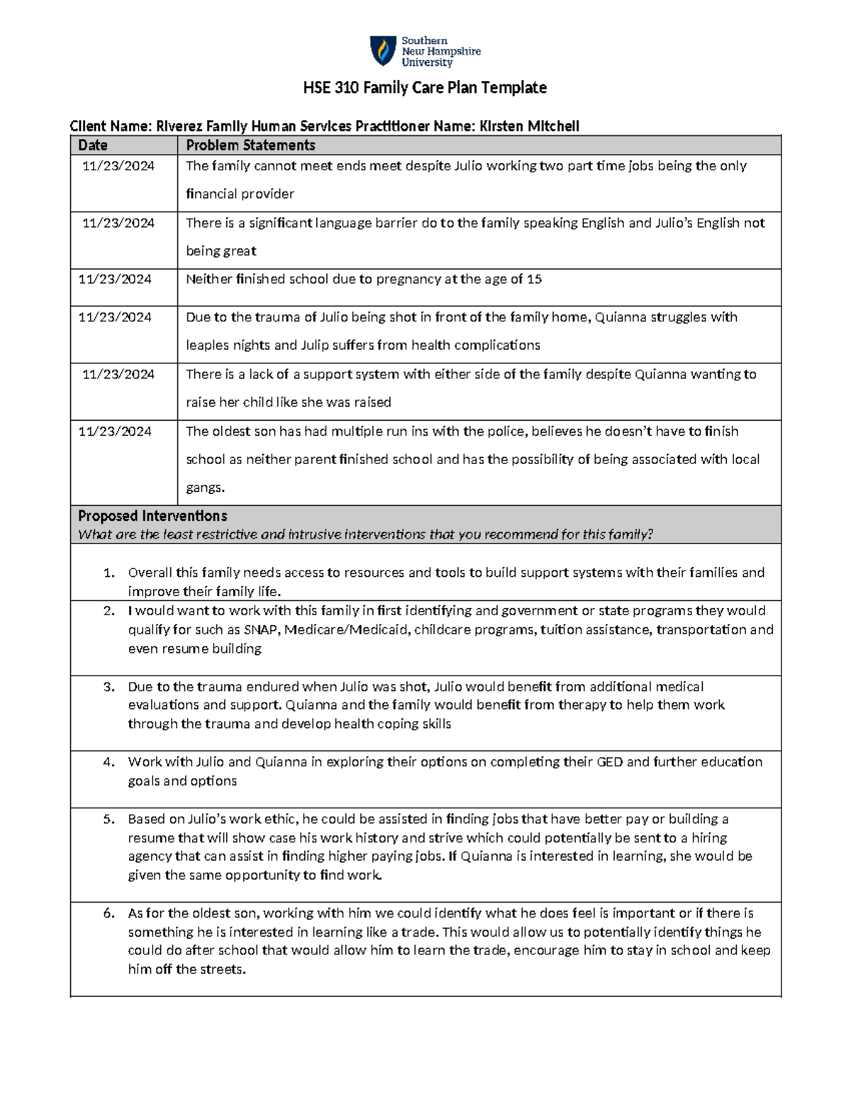 HSE 310 Family Care Plan: Strategies for Family Support & Resources ...